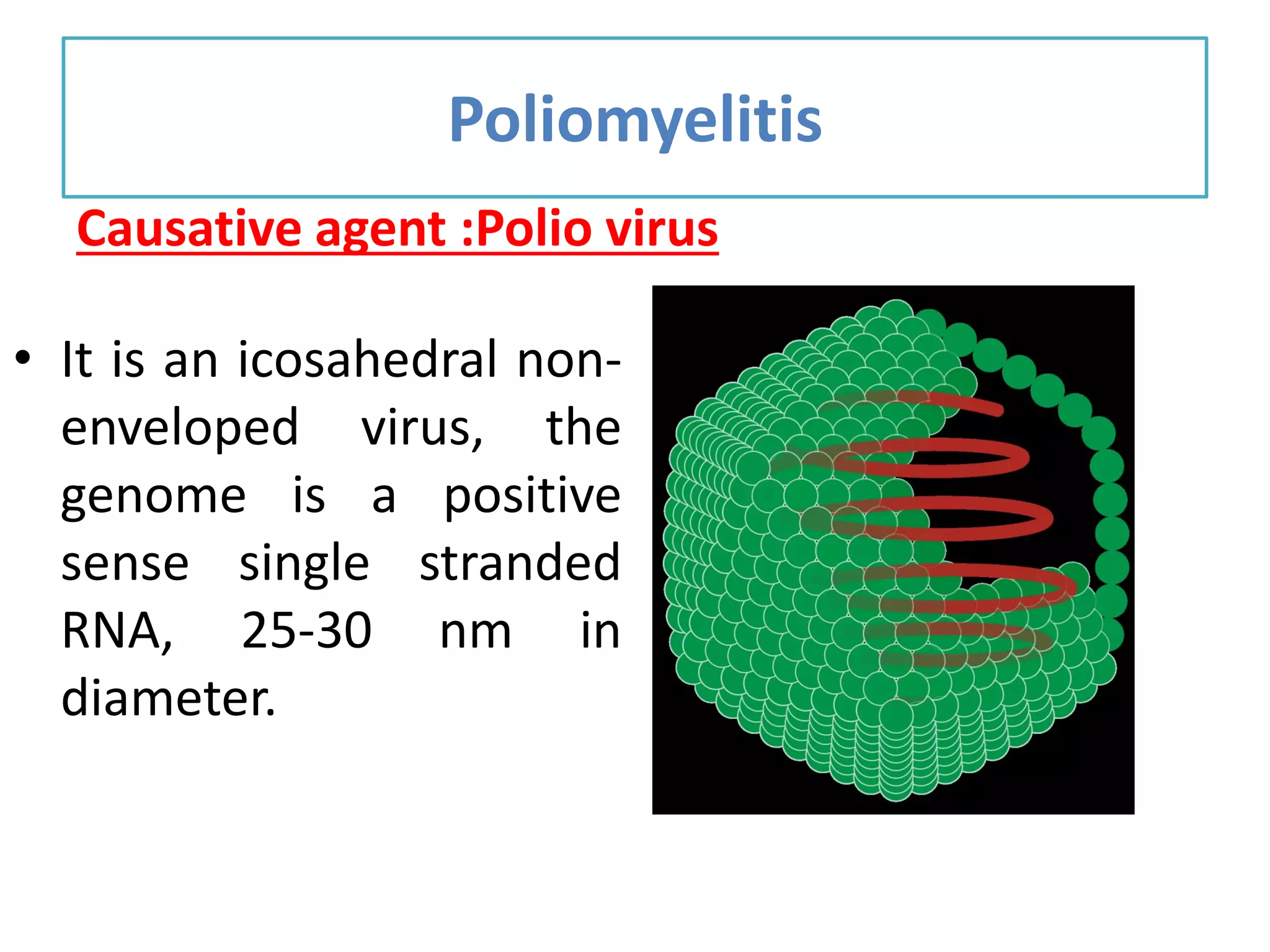 poliomylitis.pdf