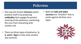 Polio pp | PPTX