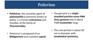 Polio pp | PPTX | Infectious Diseases | Diseases and Conditions