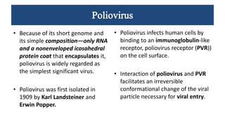 Polio pp | PPTX | Infectious Diseases | Diseases and Conditions