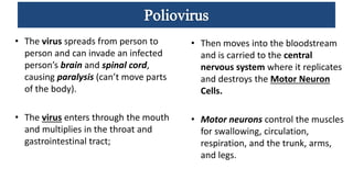 Polio pp | PPTX