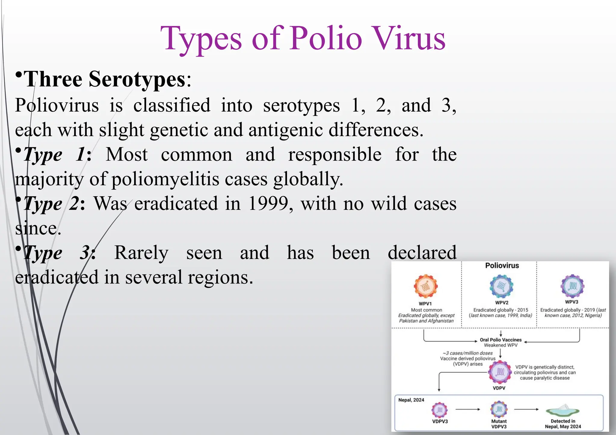 Polio presentation with Structure , Types and Treatment | PPTX