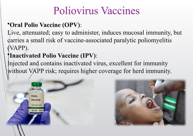 Polio presentation with Structure , Types and Treatment | PPT