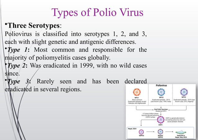 Polio presentation with Structure , Types and Treatment | PPT