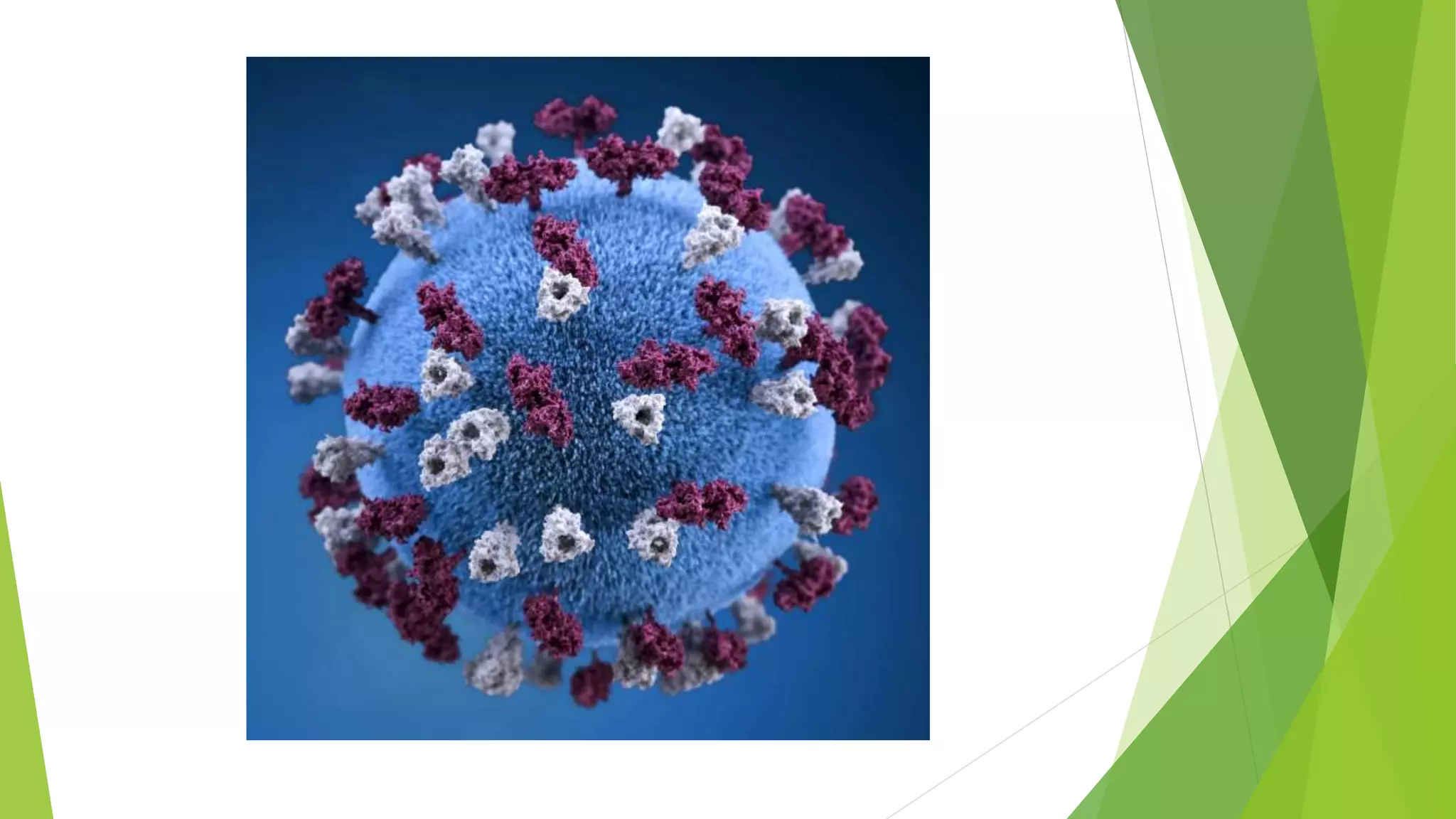 Poliovirus By Ashwin Vijayan.pptx