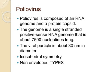 Polio viruses and polio immunisation ppt by Dr Prince C P | PPTX
