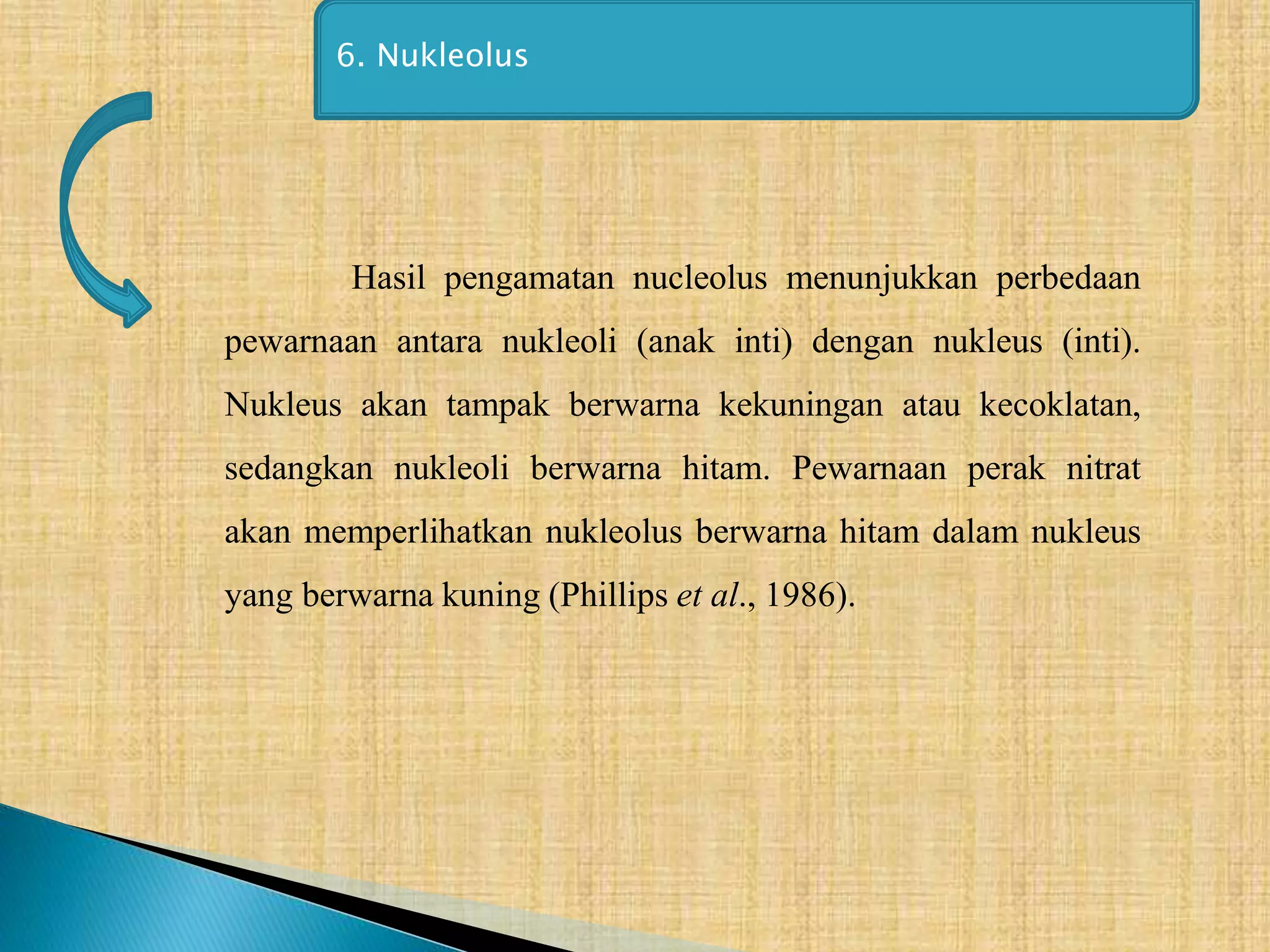 poliploidisasi ikan mas.pptx