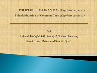 poliploidisasi ikan mas.pptx