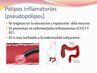 Polipos colorrectales | PDF