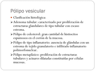 Polipos vesiculares clase | PPT