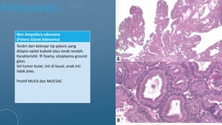 Polip pada Usus Halus.pptx