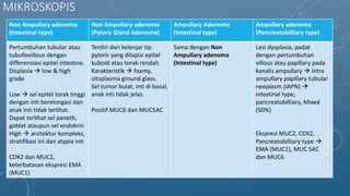 Polip pada Usus Halus.pptx