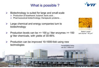 Industrial Biotechnology-a Key to Bioeconomy | PDF