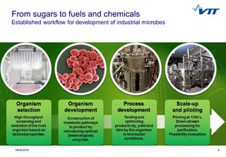 Industrial Biotechnology-a Key to Bioeconomy | PDF
