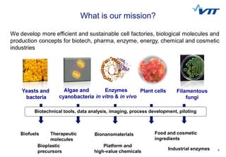 Industrial Biotechnology-a Key to Bioeconomy | PDF