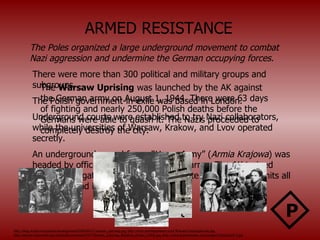 Polish Victims of the Holocaust | PPT