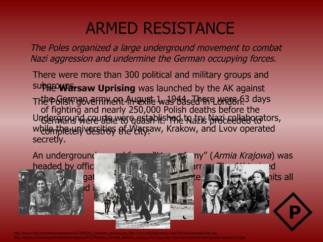Polish Victims of the Holocaust | PPT