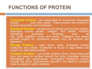 Politeknik ibrahim sultan hh514 nutriton | PPTX | Vegetarian Diets ...