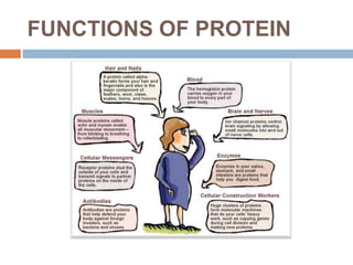 Politeknik ibrahim sultan hh514 nutriton | PPTX
