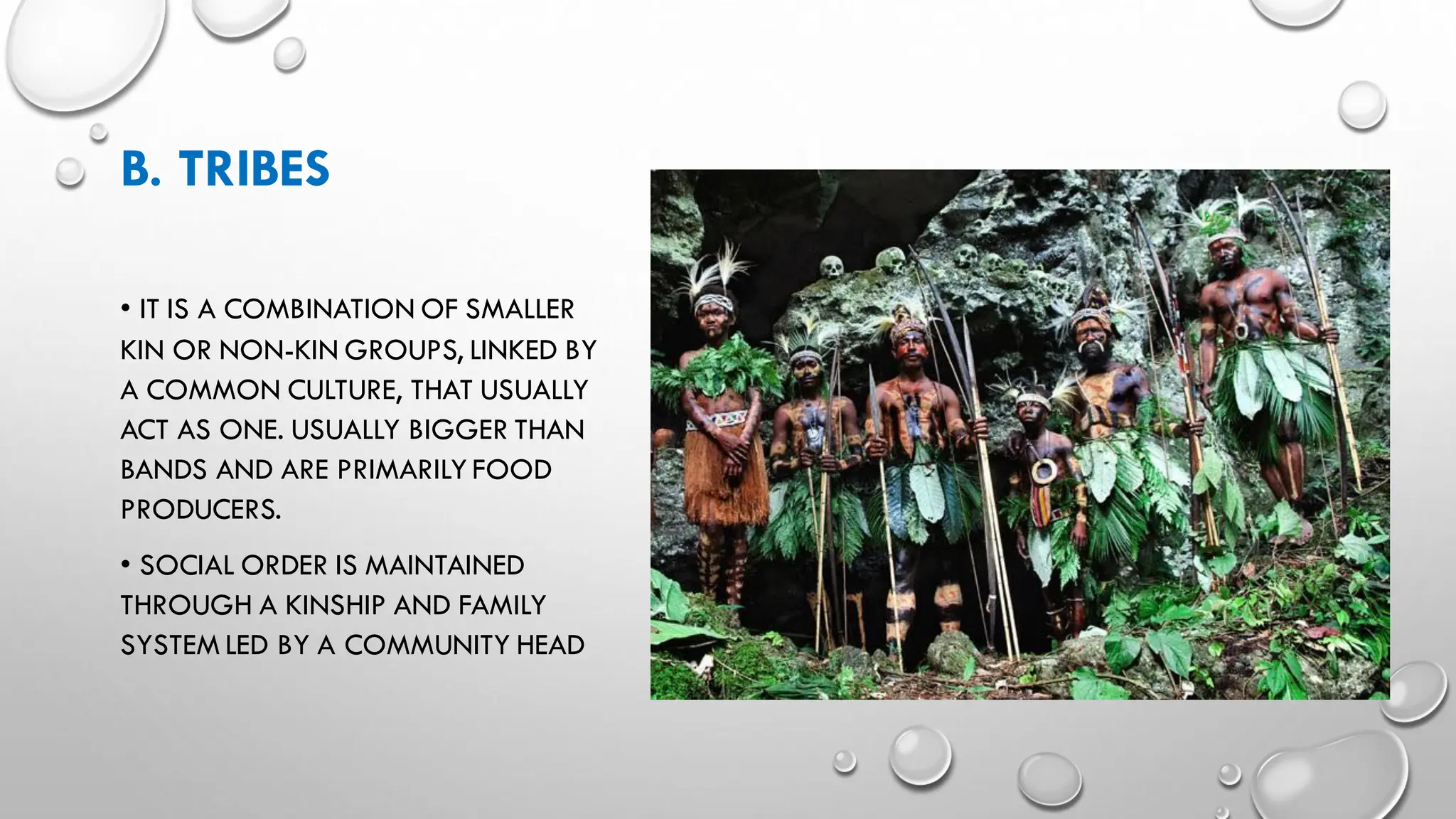 Political-and-Leadership-Structures-.pdf