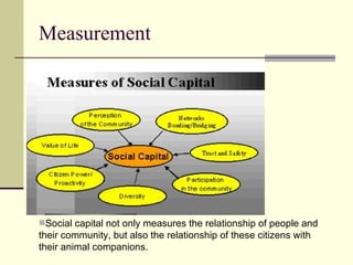 What is social capital | PPT