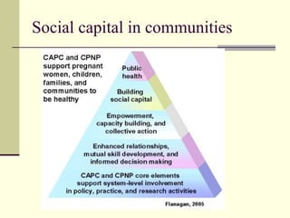 What is social capital | PPT