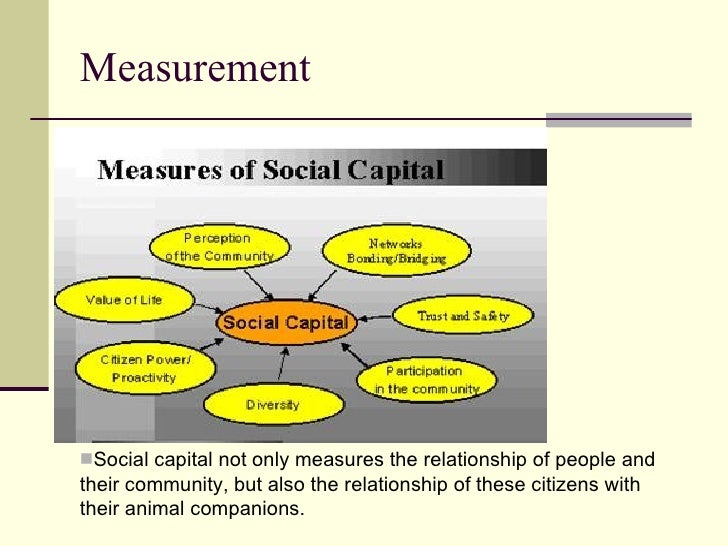 What is social capital