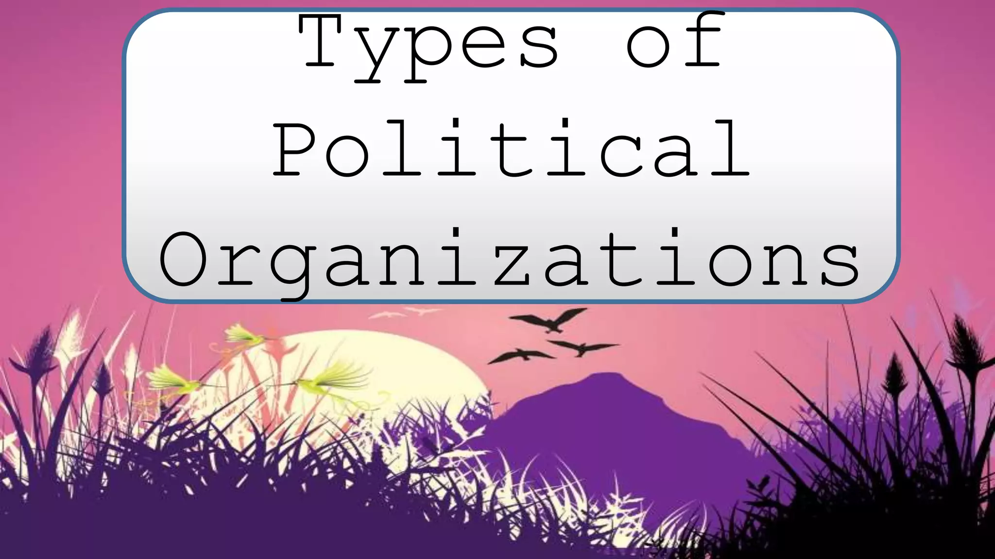 Political and Leadership Structures | PPTX