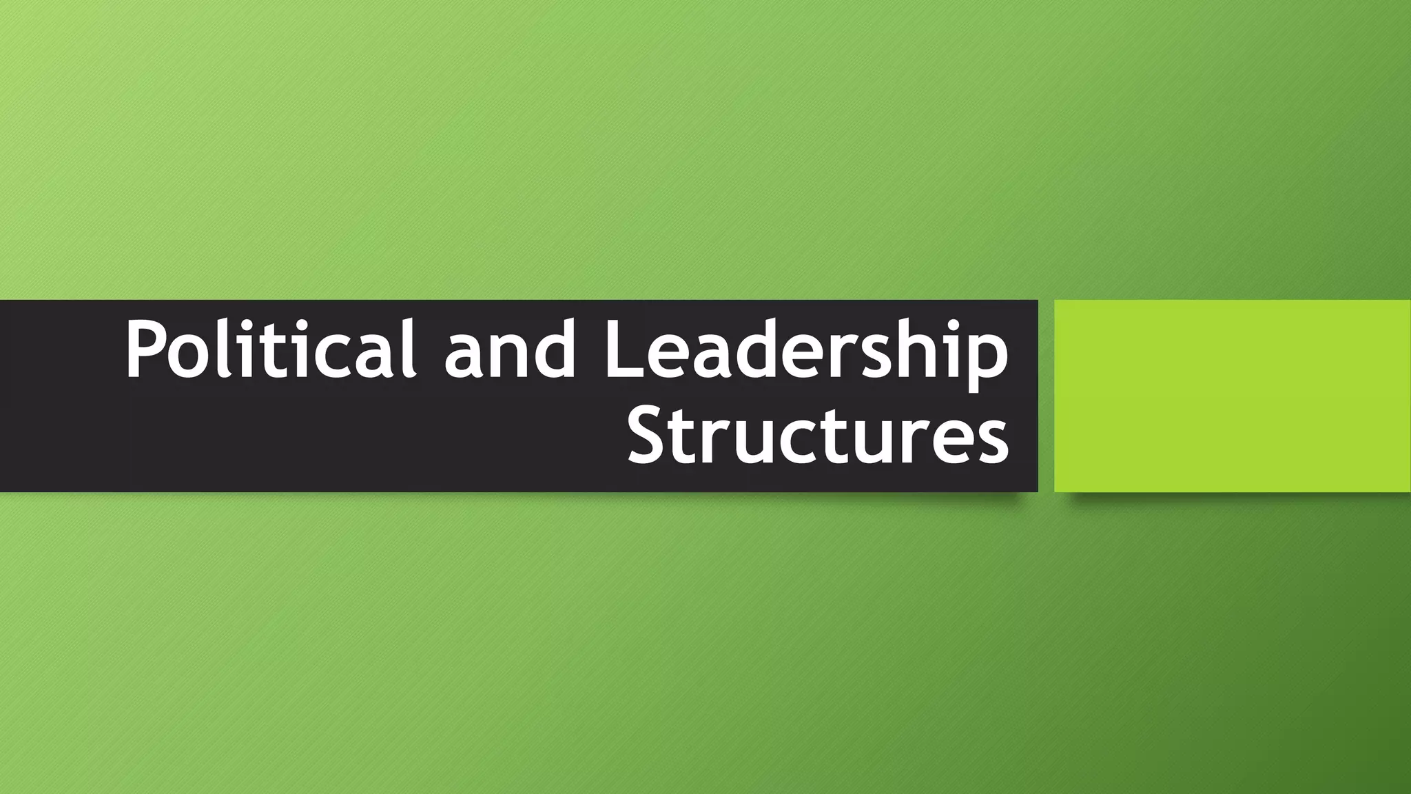 Political and Leadership Structures ....pptx