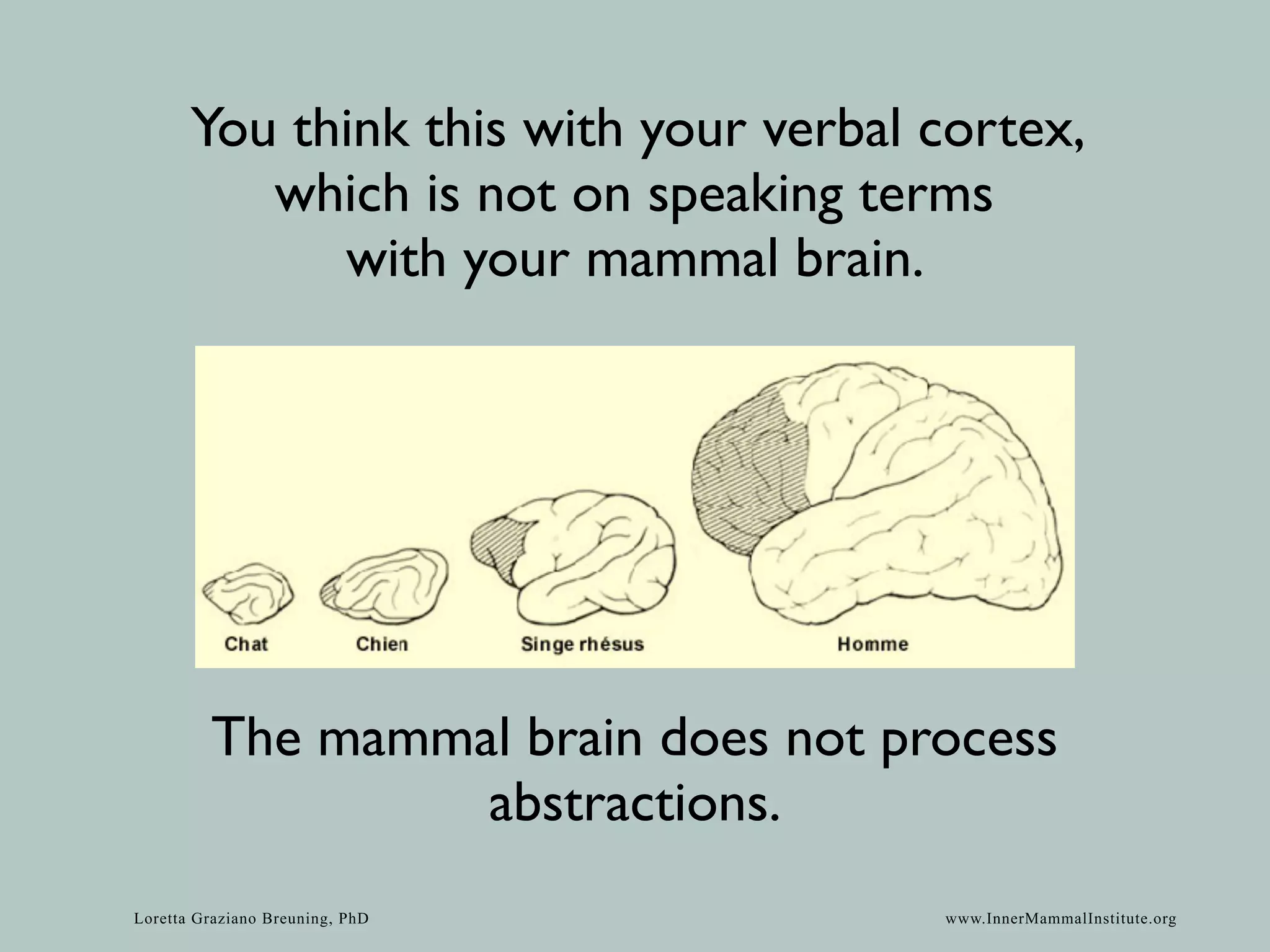The Political Brain | PDF | Brain and Nervous System Disorders ...