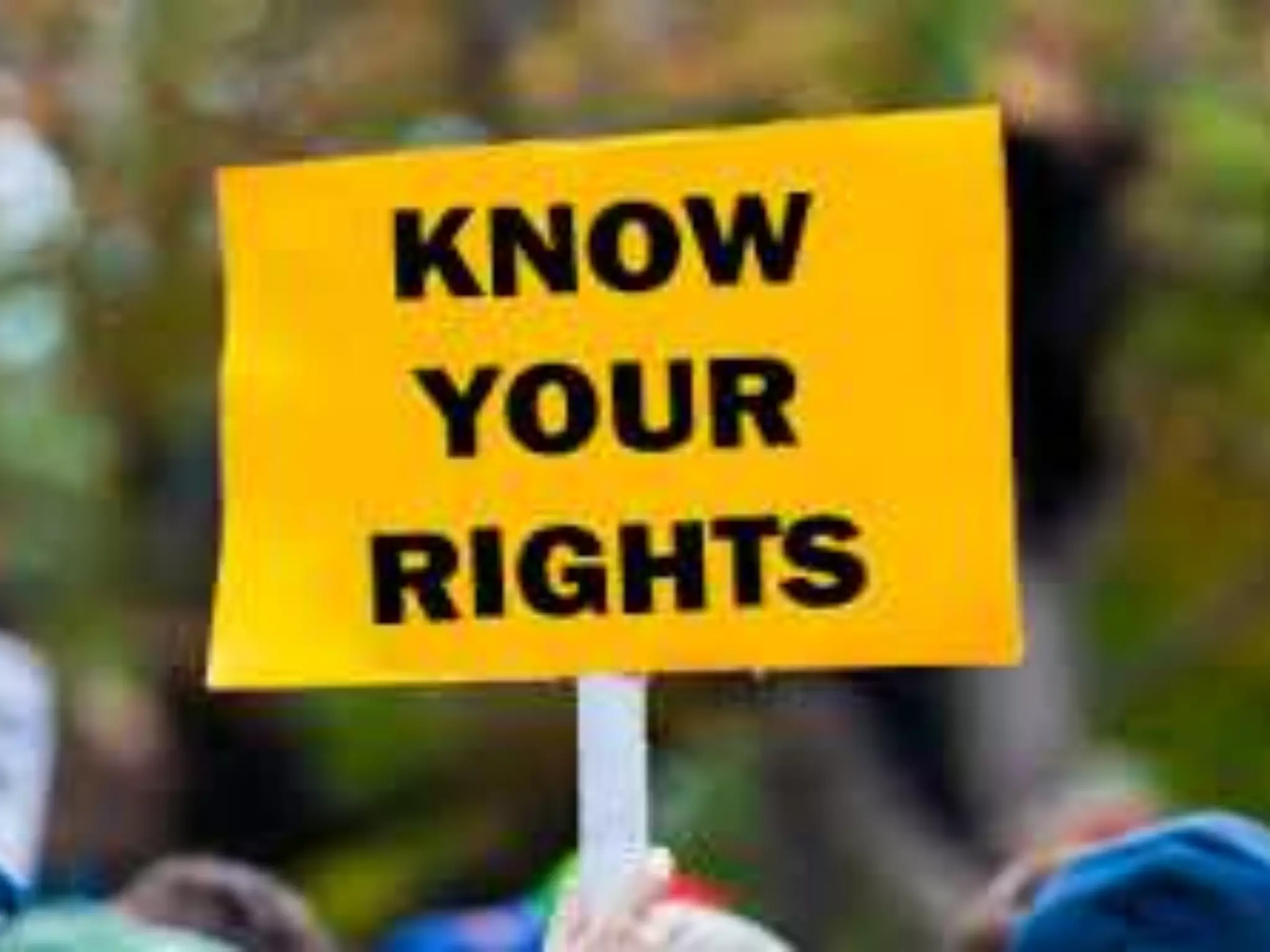 Political, civil,social and economics rights of citizens | PPTX