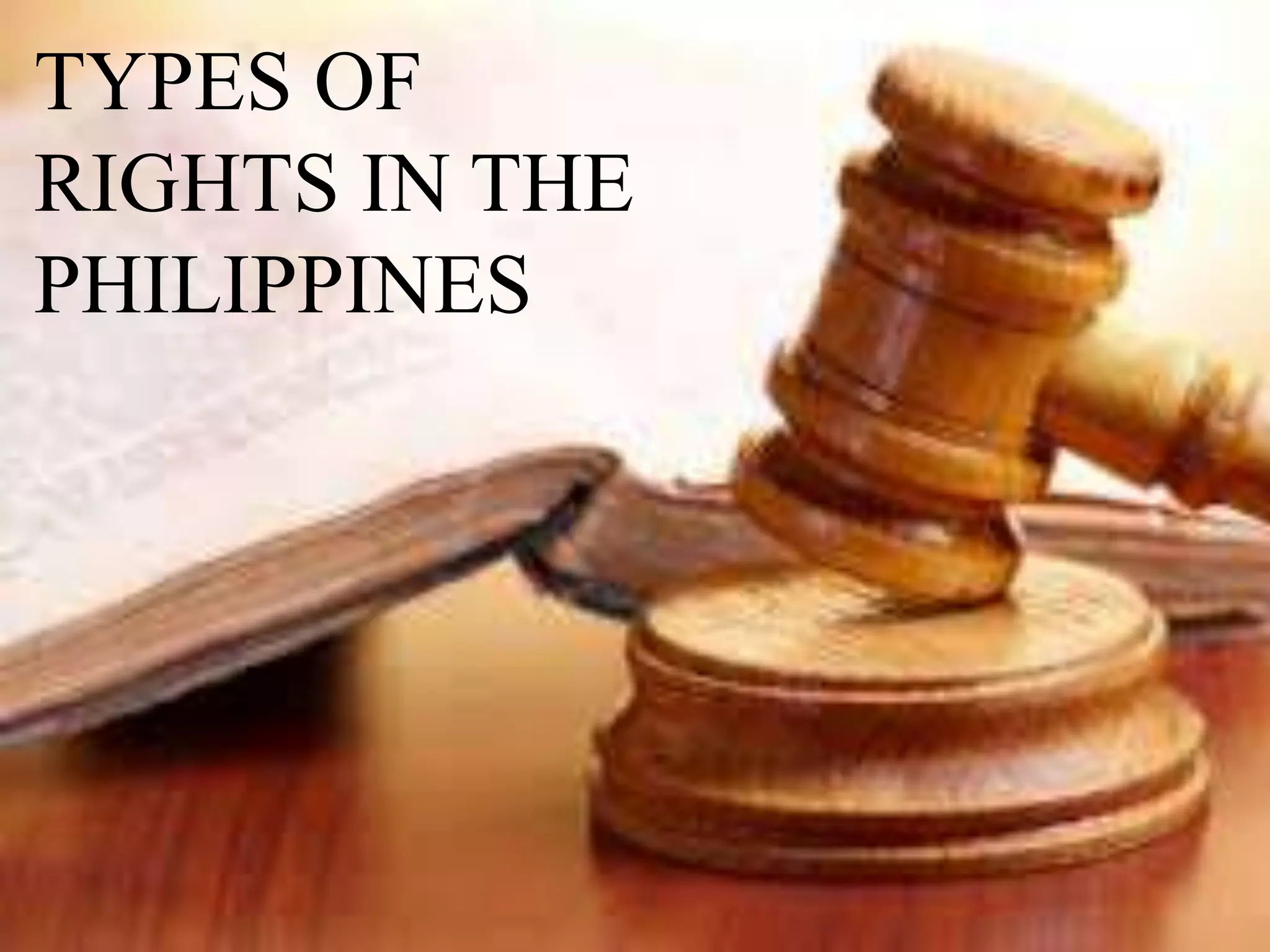 Political, civil,social and economics rights of citizens | PPTX