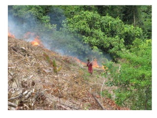 Kaingin System Clipart Of Children