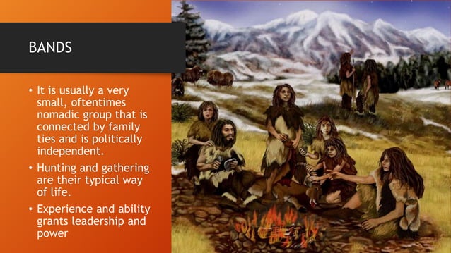 POLITICAL AND LEADERSHIP STRUCTURES | PPTX | Politics