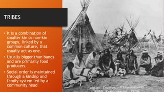 POLITICAL AND LEADERSHIP STRUCTURES | PPTX