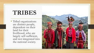 Political organization | PPTX