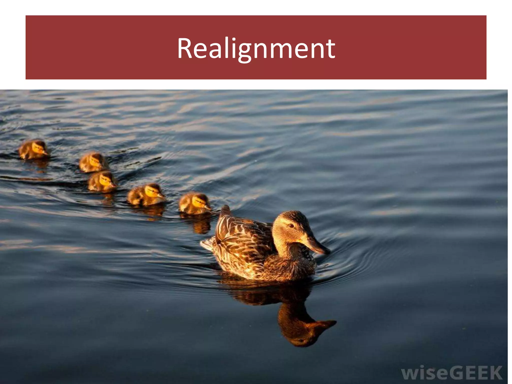 Political realignment and dealignment | PPTX