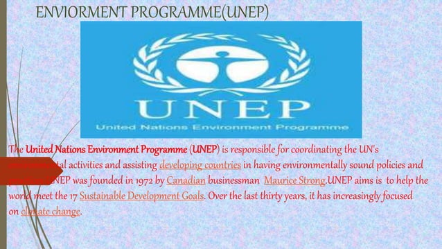 UNITED NATIONS PPT.pptx