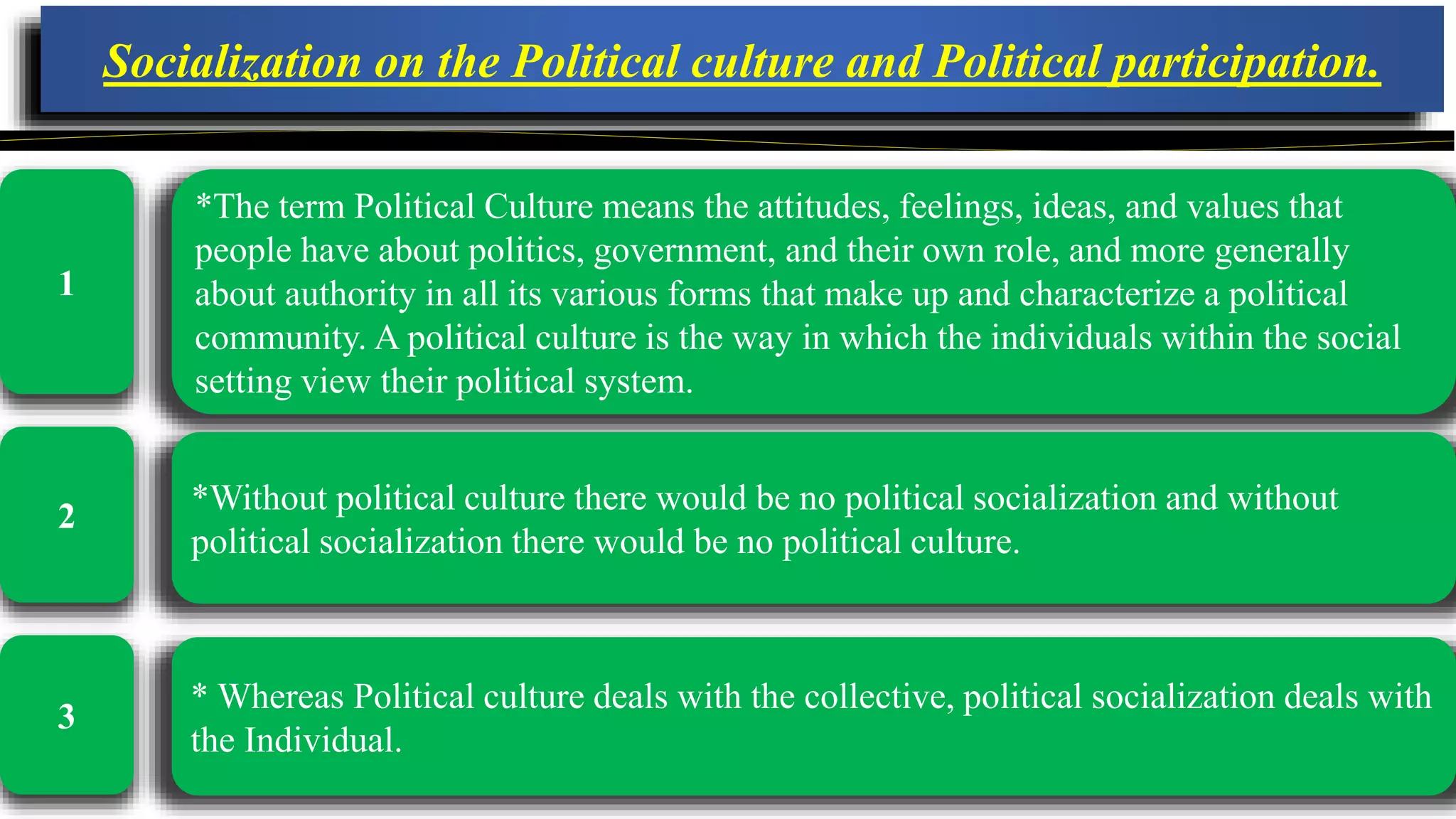 Political socialization and participation | PPTX