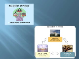 The Political Structure of Society | PPTX