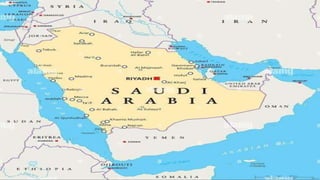 Political system of Saudi Arabia by Danish Raza.pptx