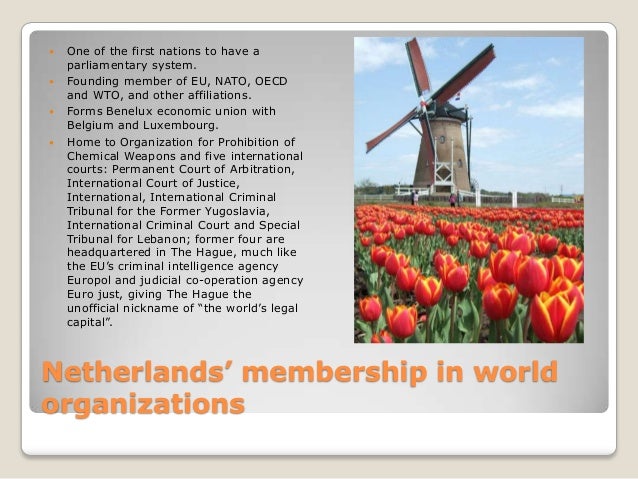 Politics of the Netherlands