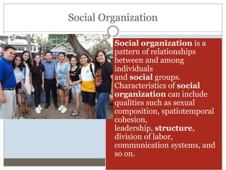 Politics,Power and Society | PPTX