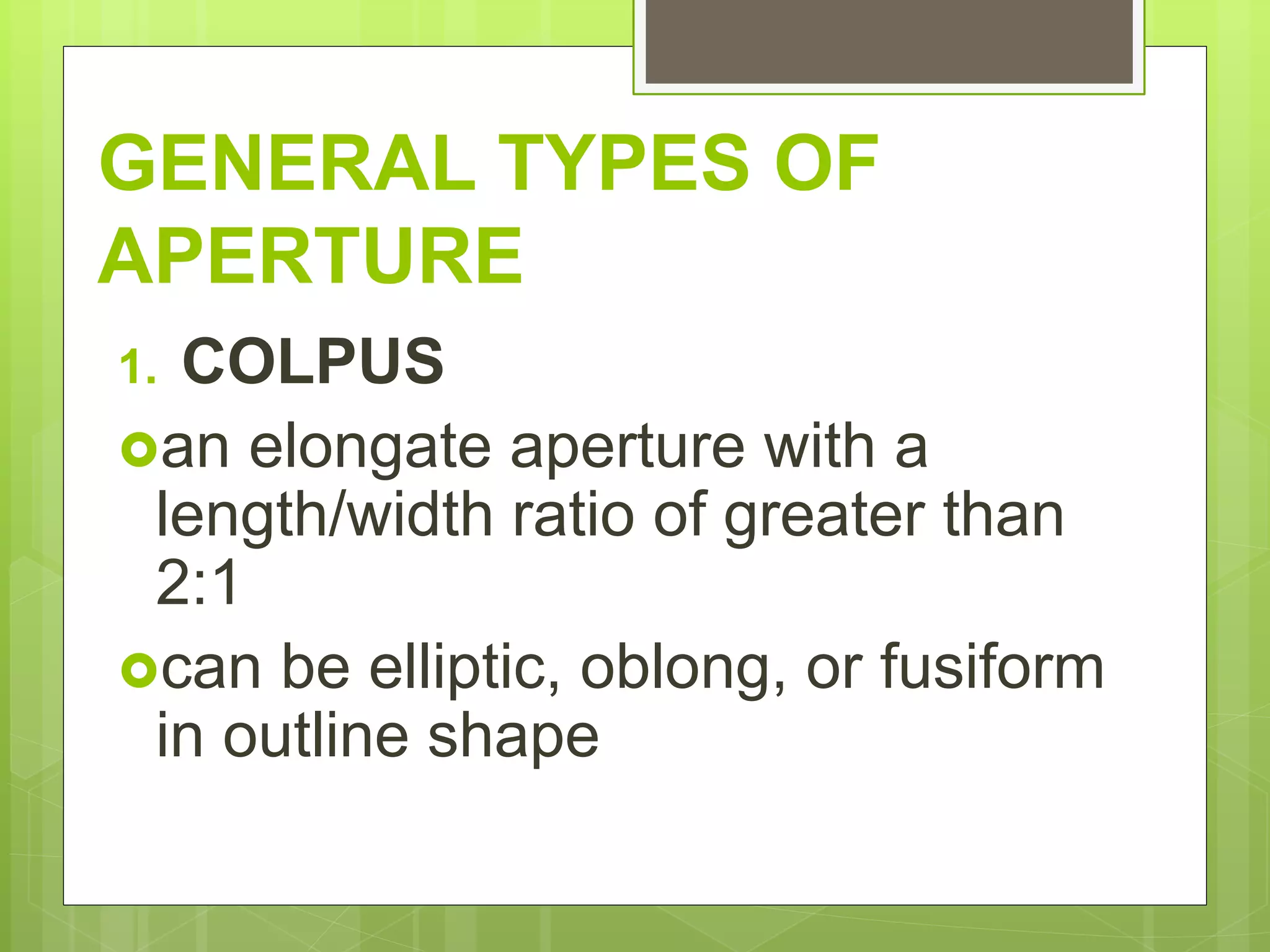 POLLEN APERTURE AND SYMMETRY (PLANT SYSTEMATICS 2nd Ed) | PPTX