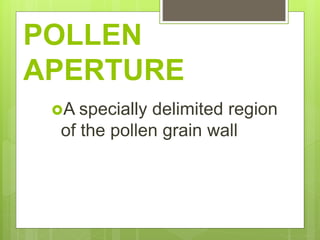POLLEN APERTURE AND SYMMETRY (PLANT SYSTEMATICS 2nd Ed) | PPTX