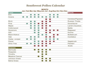 Pollen calendar | PPT