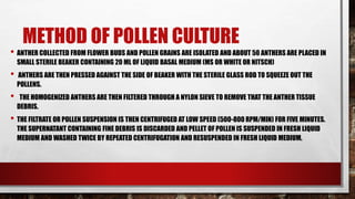 Pollen Culture.pptx