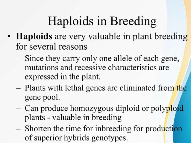 Pollen culture/Anther culture,Haploids.ppt