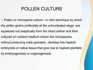Pollen culture/Anther culture,Haploids.ppt