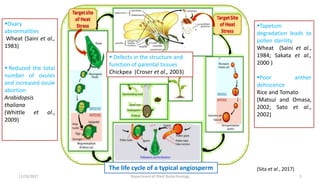 Pollen development at high temperature | PPT